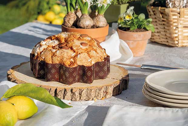 Fratelli Carli : Huile EVO, huile d'olive et produits typiques Carli